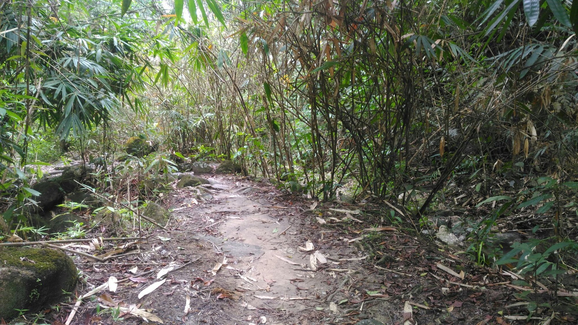 Lata Ulu Chepor Waterfall, Chemor, PERAK – GoKelah