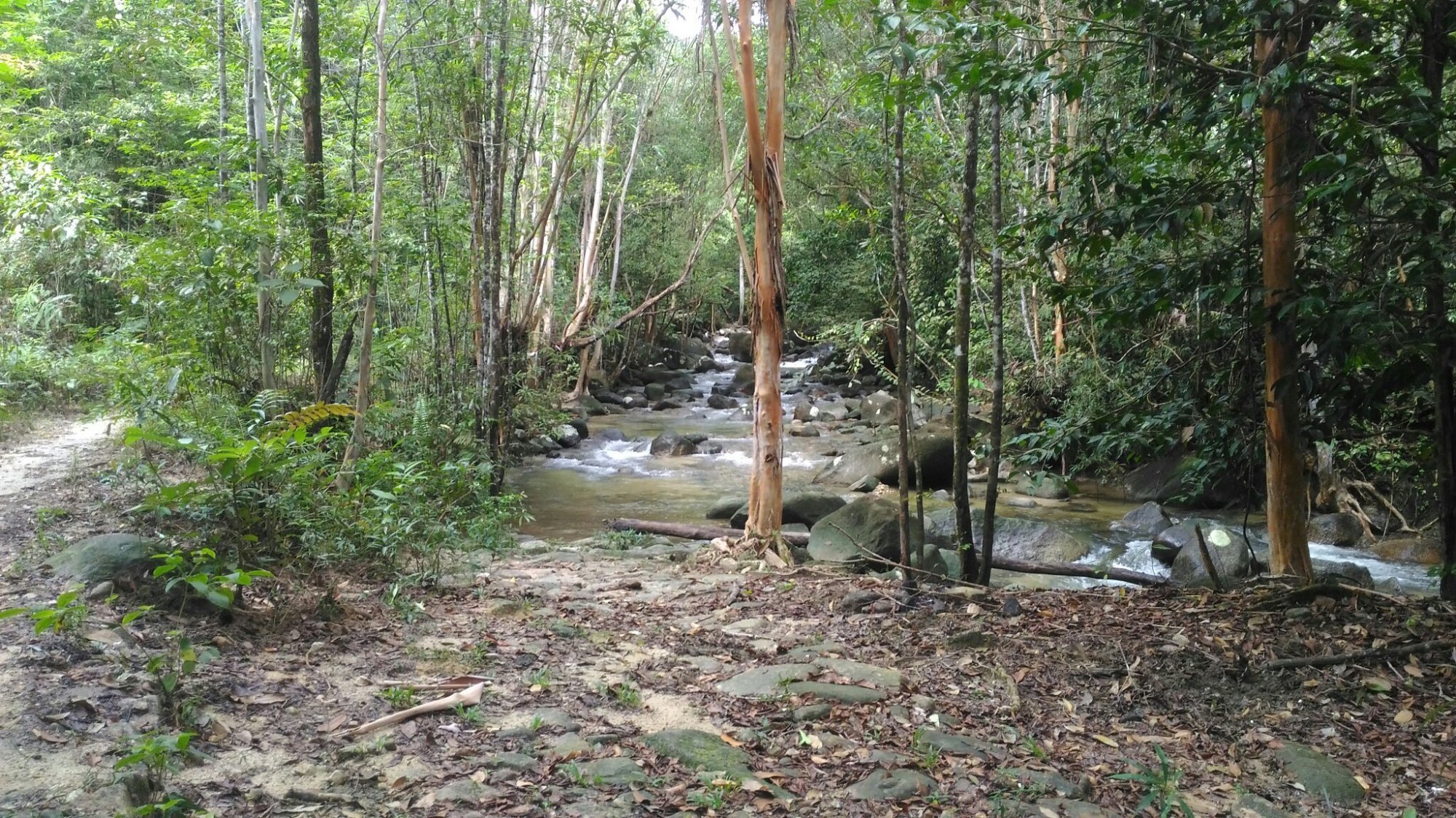 Lata Ulu Chepor Waterfall, Chemor, PERAK – GoKelah