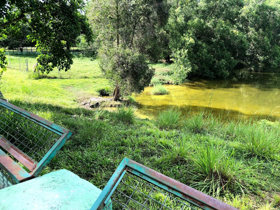Paya Indah Discovery Wetlands, Dengkil, SELANGOR – GoKelah