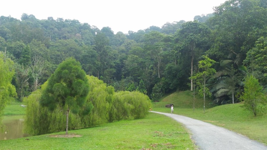 FRIM Kepong Botanic Gardens, Kepong, SELANGOR – GoKelah
